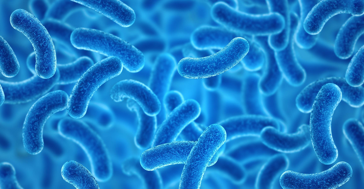 Lamblia - zakażenie, objawy, diagnostyka. Leczenie zakażenia lamblią