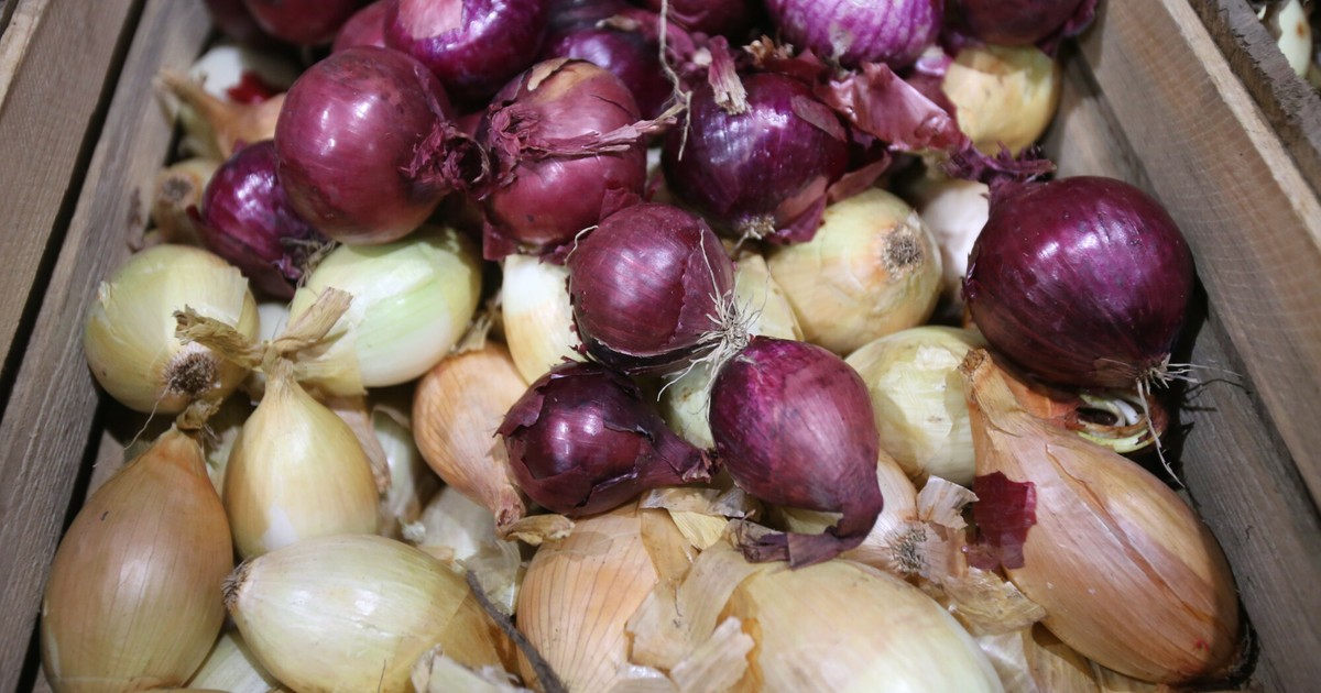 Polska cebula robi furorę w Europie. Jej cena wzrosła trzykrotnie