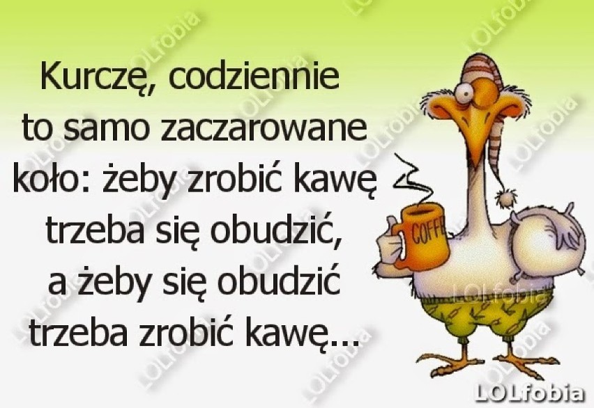 Najlepsze memy o kawie na Dzień Kawy. Spróbuj się nie zaśmiać - Kobieta