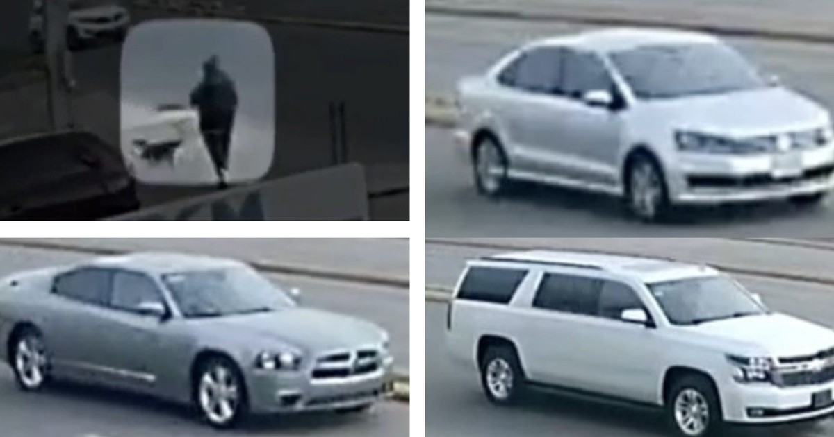 An American woman was kidnapped in Mexico while walking her dog. 8 ...