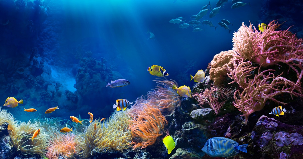 Koronawirus będzie miał zbawienny wpływ na stan mórz i oceanów? - Podróże