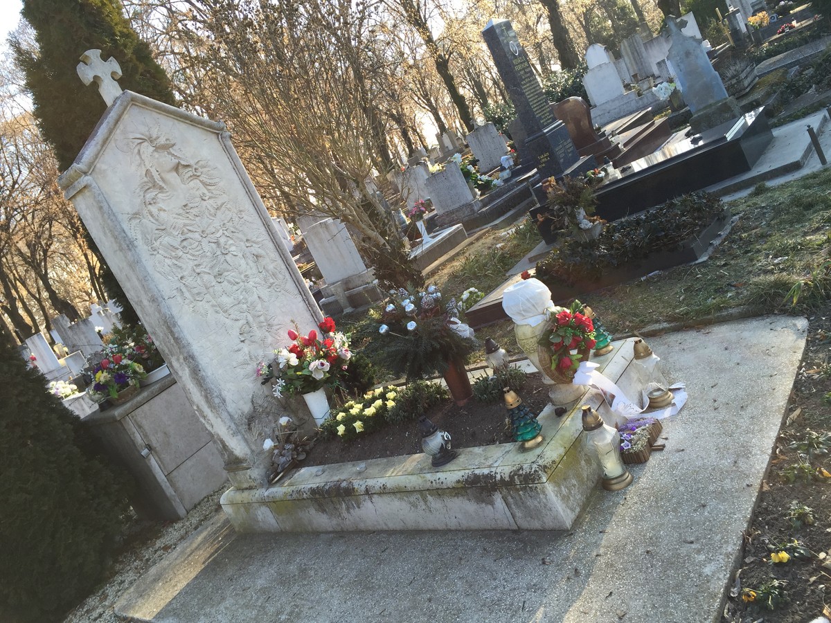 50 éves lenne a tragikus sorsú szépségkirálynő: Molnár Csilla a halálos ...