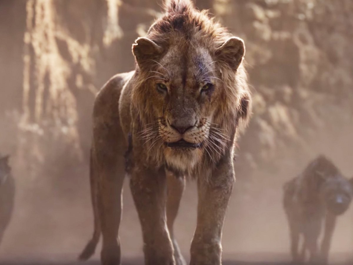 3 interesting takeaways from new 'Lion King' movie trailer | Pulse Nigeria 3 interesting takeaways from new 'Lion King' movie trailer | Pulse Nigeria