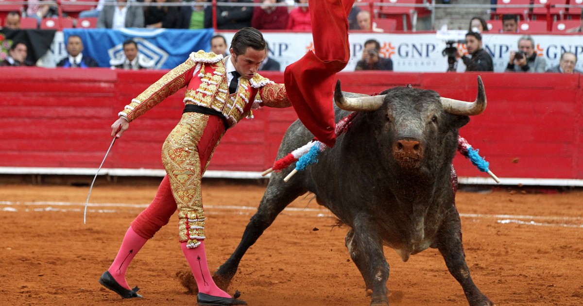 Korrida wraca do Meksyku. Obrońcom praw zwierząt nie udało się uratować ...