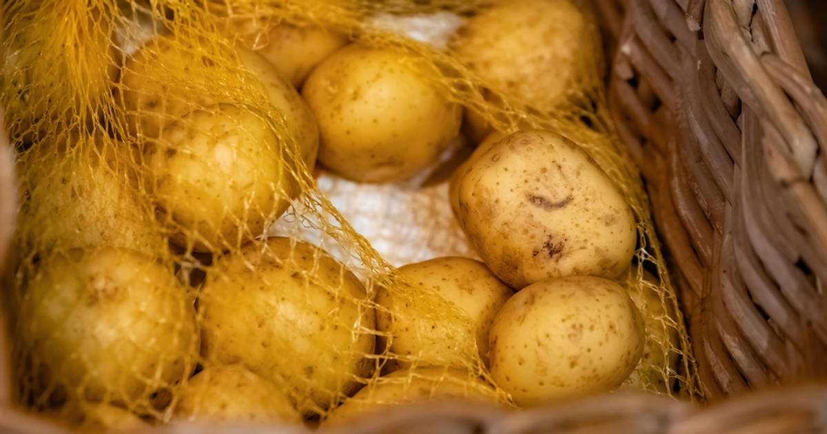 Takich ziemniaków nie wolno jeść. Możesz się zatruć | Ofeminin Takich ziemniaków nie wolno jeść. Możesz się zatruć | Ofeminin