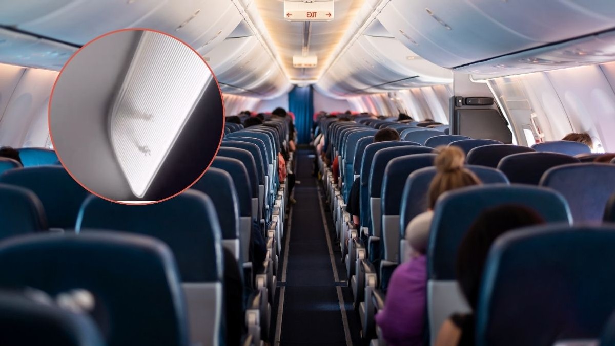 Lecieli do Los Angeles. Nagle nad ich głowami pojawiły się łapki - Podróże