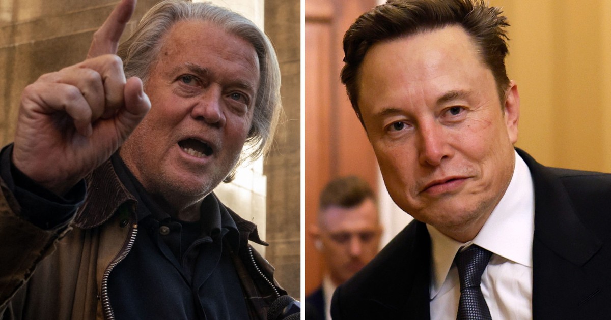 Steve Bannon Criticizes Elon Musk | Business Insider Africa