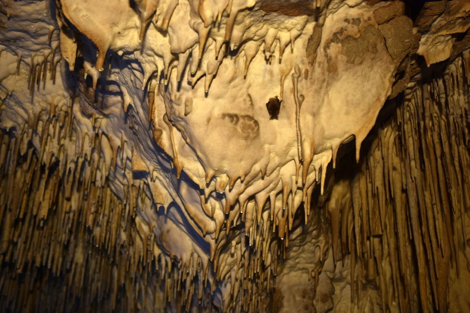 Jaskinia Raj w Górach Świętokrzyskich, jedna z najpiękniejszych w ...