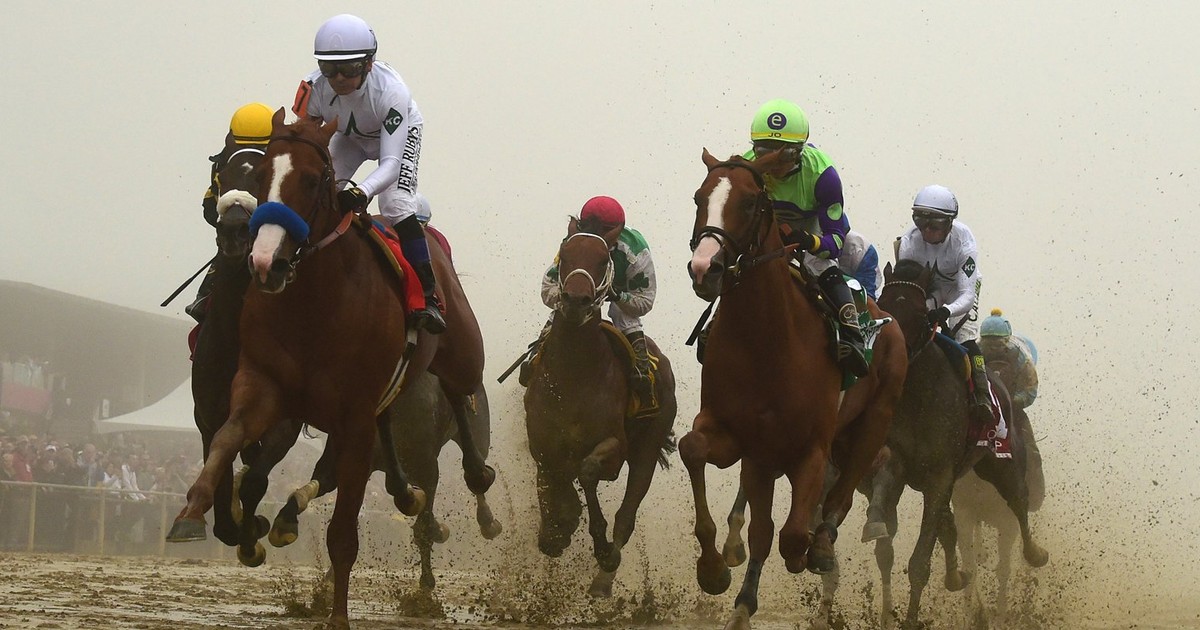 Preakness Stakes 2019: Everything you need to know about the 13 horses ...