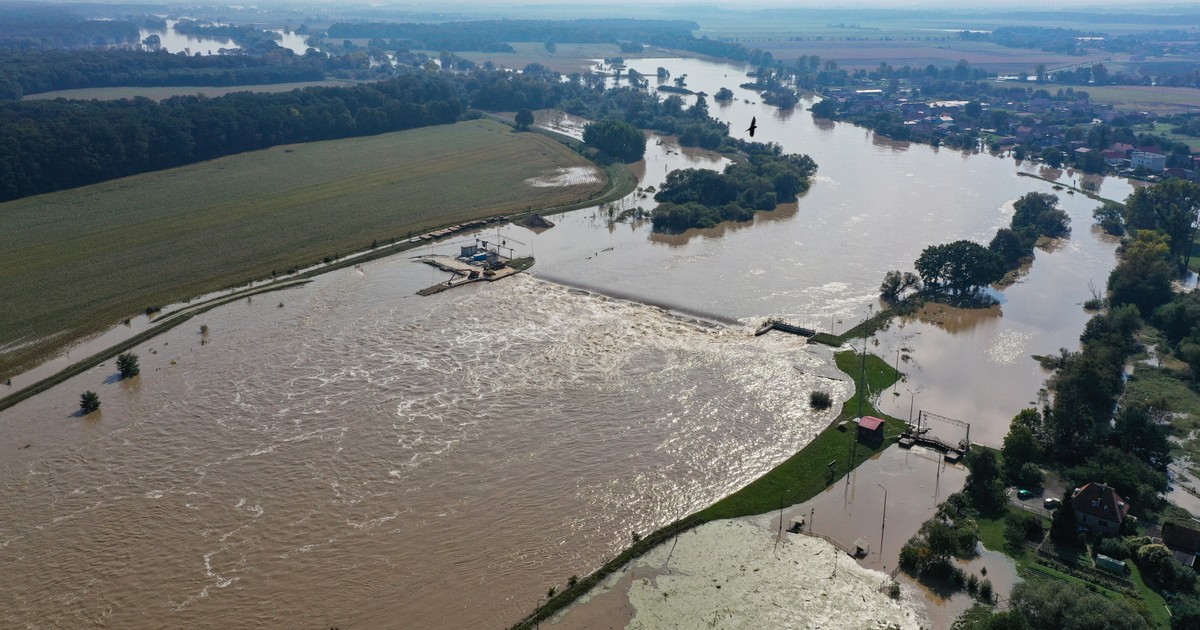 Aktualny stan rzek we Wrocławiu. Tuż przed sztabem kryzysowym