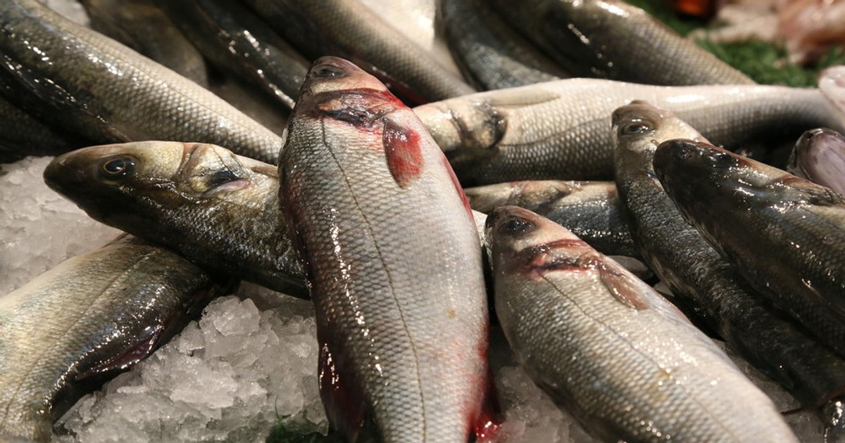 Norweskie ryby - handel do Polski bije rekordy - Kobieta