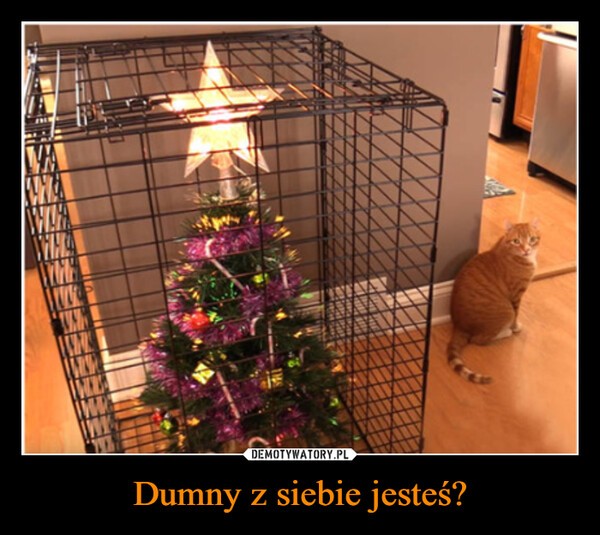 Najlepsze memy o choinkach. Te z kotami rozbawią was do łez - Kobieta