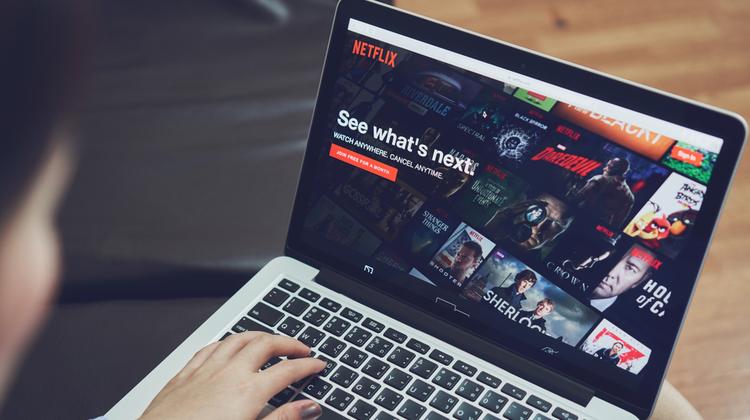Netflix na listopad 2021: Nowe seriale i filmy na Netfliksie. Lista nowości - Program TV Onet.pl