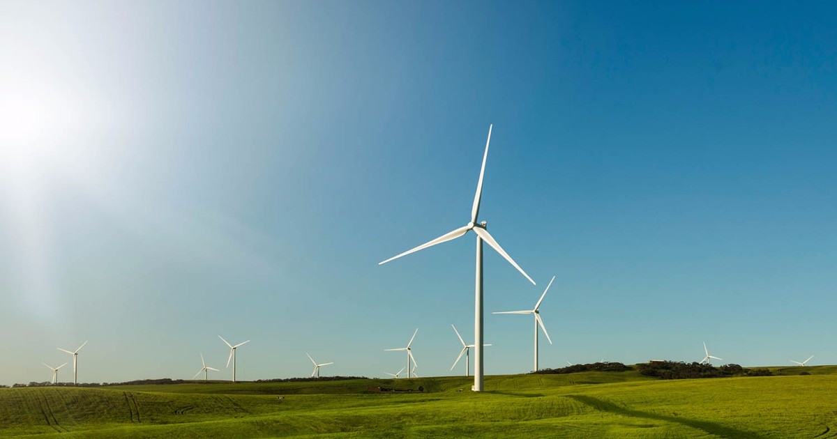 Tesla is rallying after announcing plans for the world's largest ...