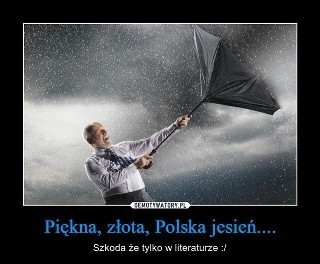 Listopadowa pogoda nie rozpieszcza. Oto najlepsze memy o jesieni - Kobieta