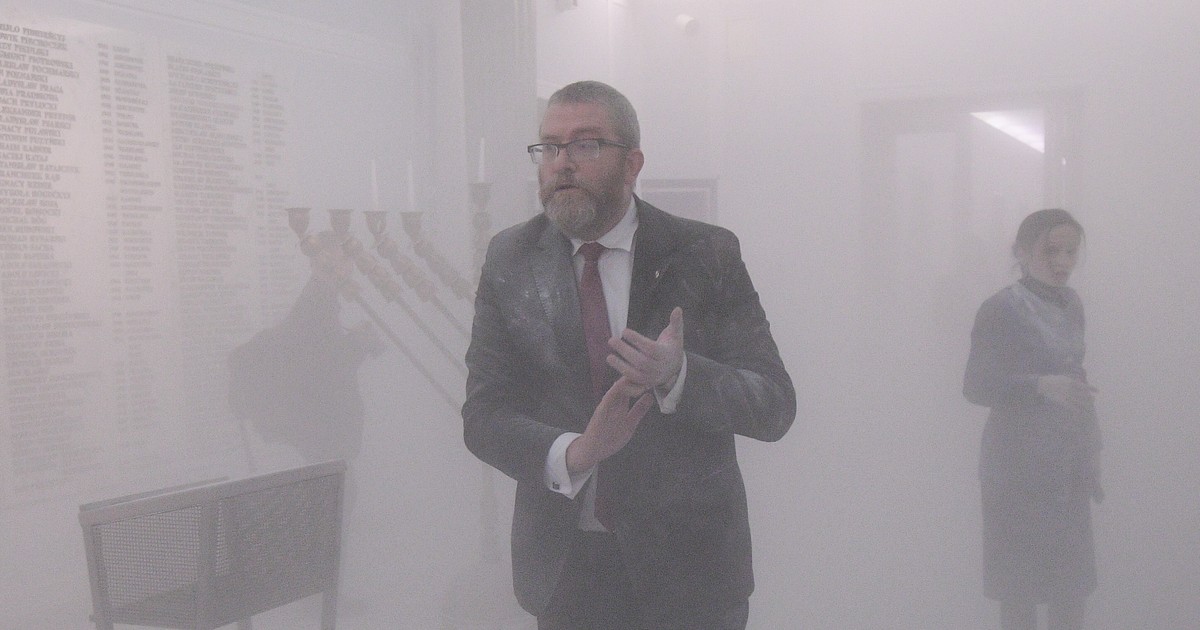Grzegorz Braun incydentem w Sejmie przekreślił swoją karierę? Ekspert ocenia - Plejada.pl