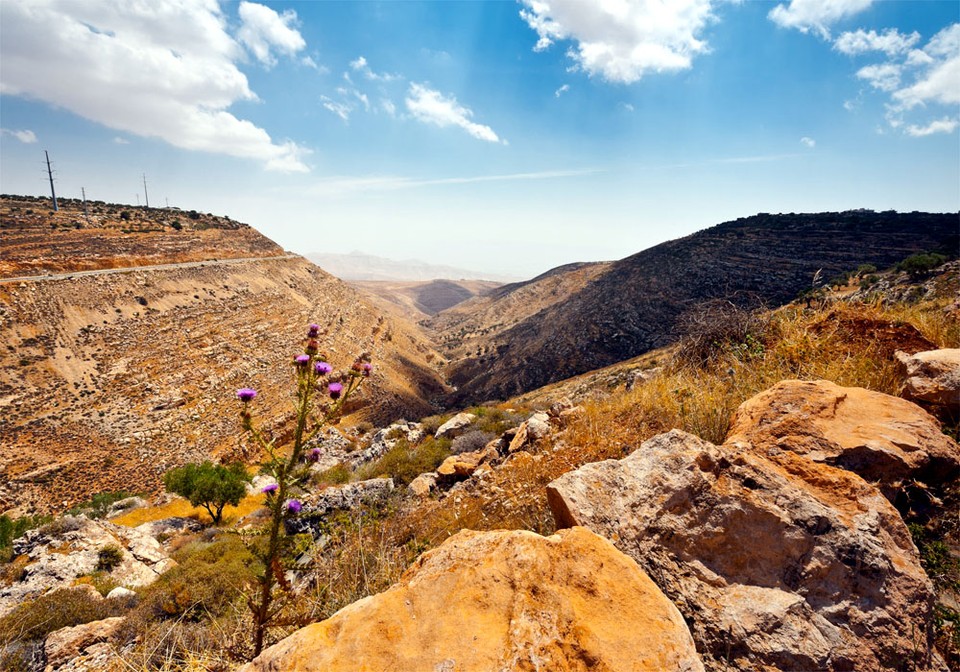 Palestyna - święta ziemia - Podróże
