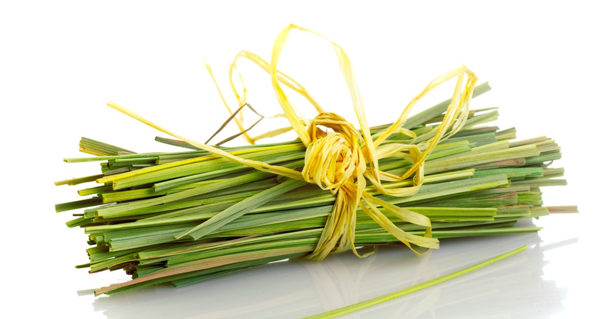 Trawa cytrynowa - właściwości, składniki odżywcze i zastosowanie w kuchni