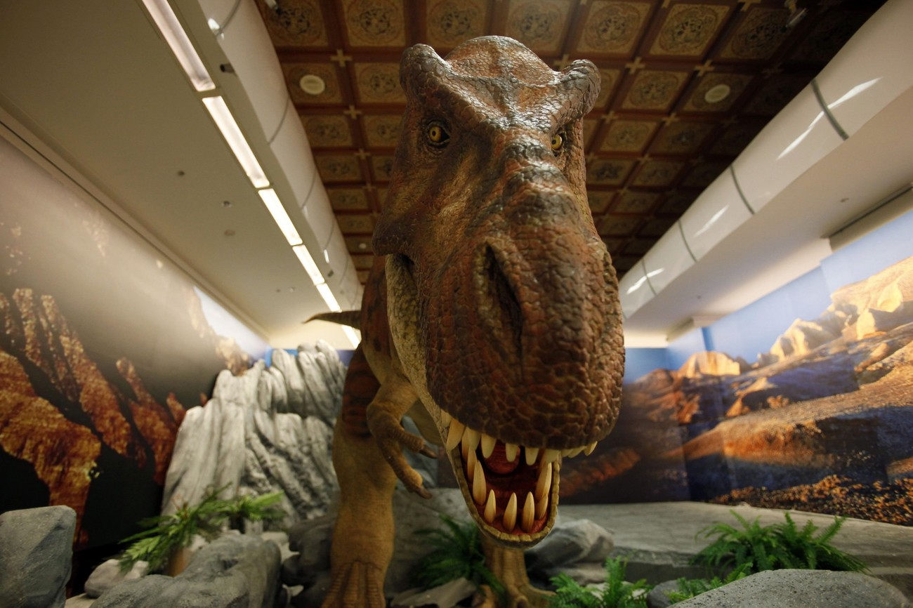 Ti-reks bio veći nego što se mislilo, i prilično gladan - Blic