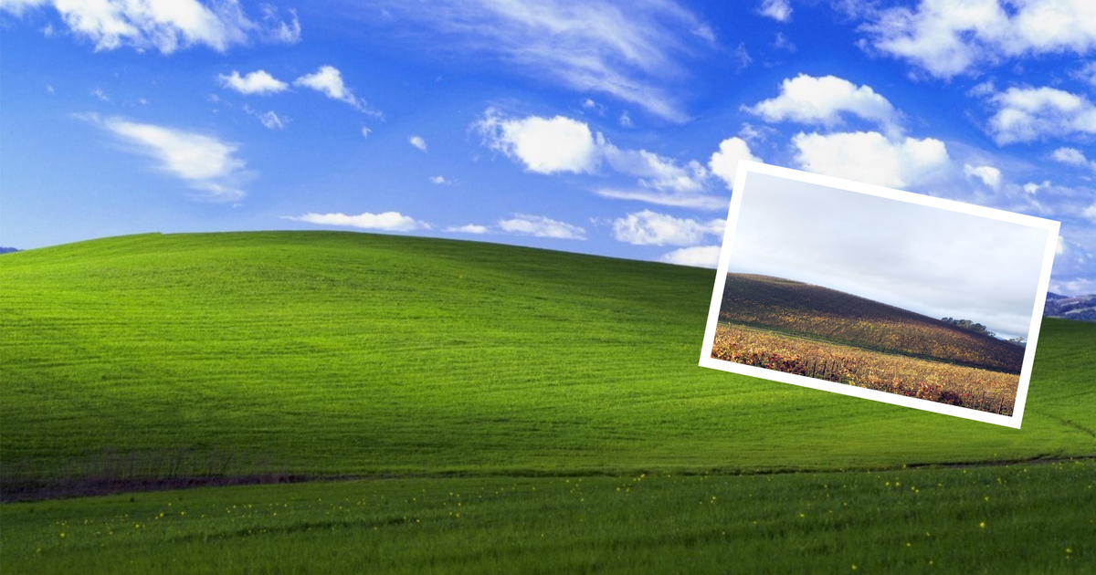 Jak powstała słynna tapeta z Windows XP i jak dziś wygląda łąka?