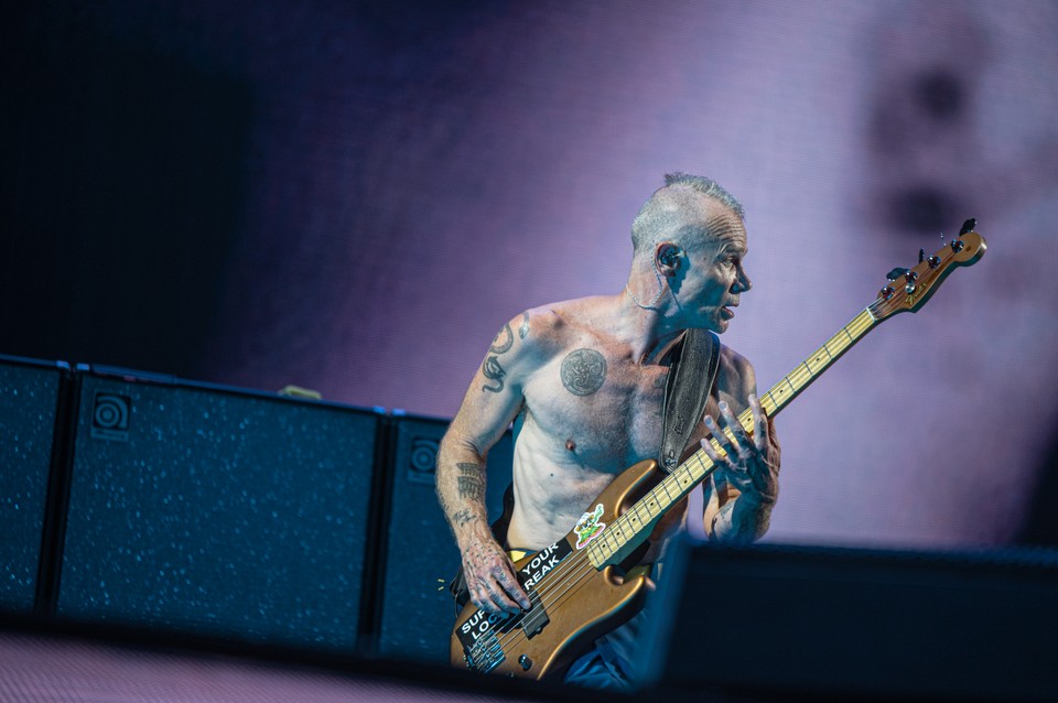 Relacja Z Koncertu Red Hot Chili Peppers Być Jak Iggy Pop [zdjĘcia