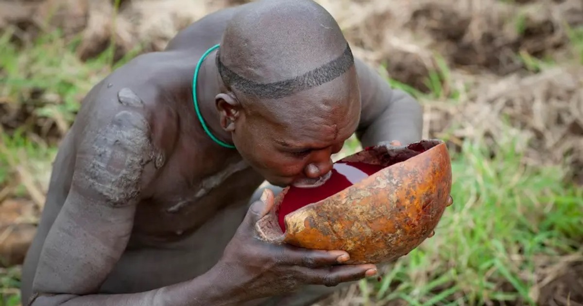 Why the Suri men of Ethiopia drink cow blood | Pulse Nigeria