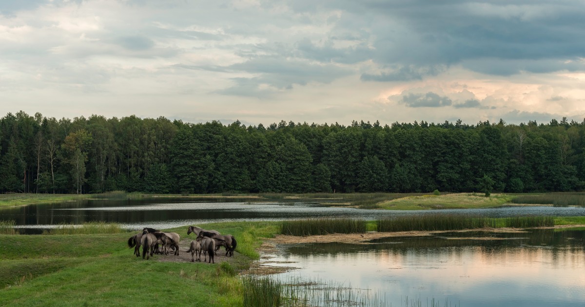 Dzień otwarty roztoczańskiego parku narodowego 2018 - Wiadomości