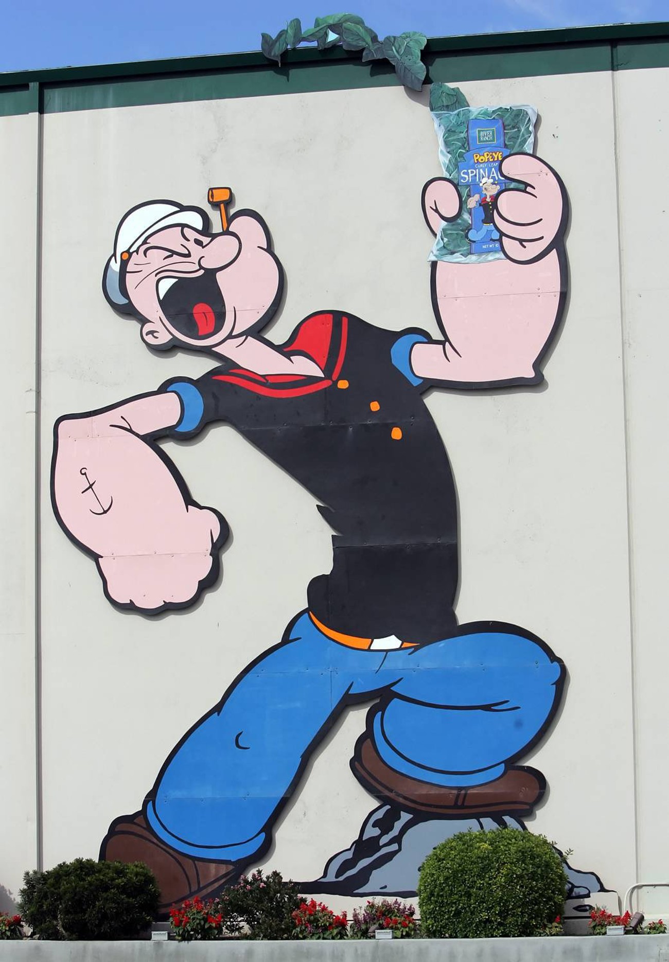 Mornar Popaj puni 82. godine