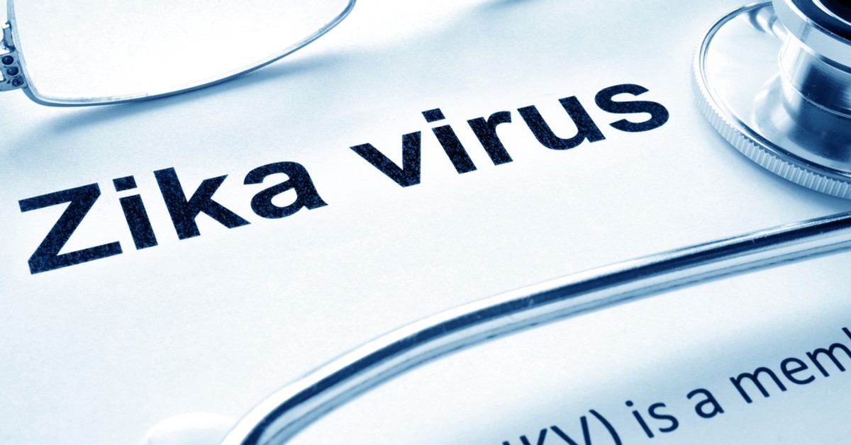 Wirus Zika dotarł do Polski. Są dwa potwierdzone zakażenia ...