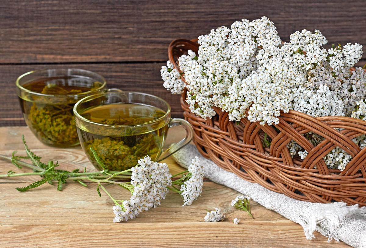 Lekovitost hajdučke trave: Pomaže pri lečenju hemoroida - Žena.rs