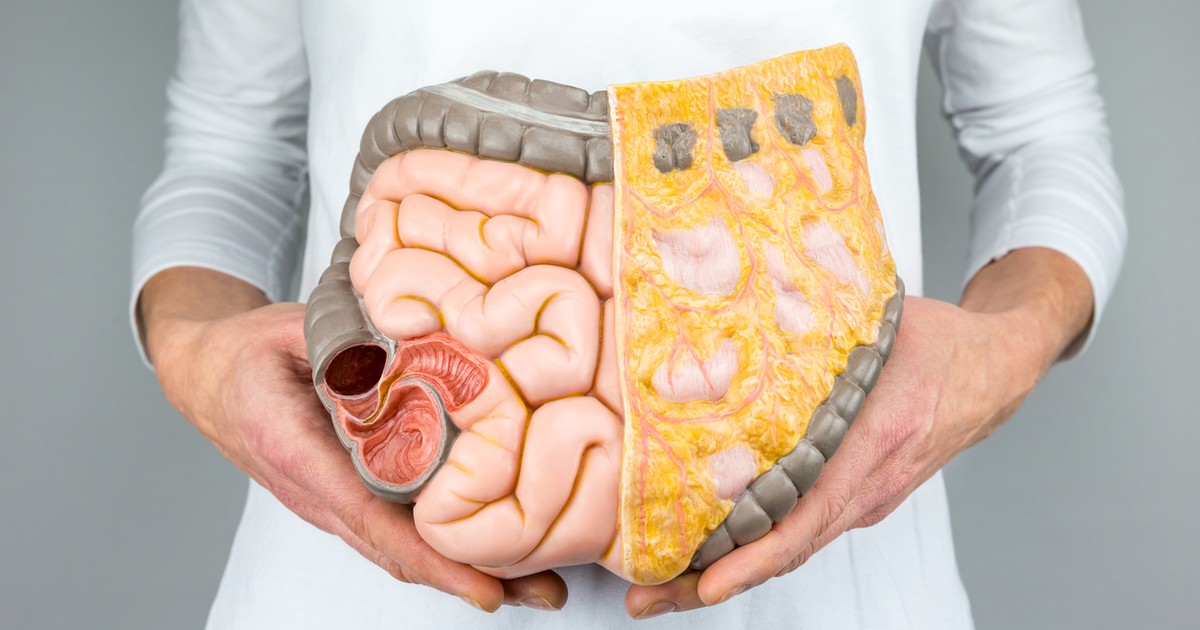 Jelita jak drugi mózg? [INFOGRAFIKA] - Zdrowie