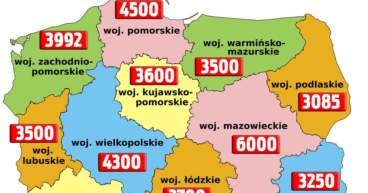 Tutaj zarabia się najlepiej!