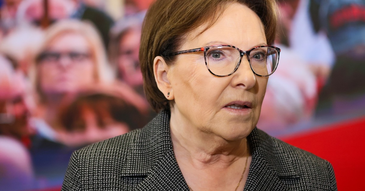 Wybory do Parlamentu Europejskiego. Wiemy, kto wystartuje z ...