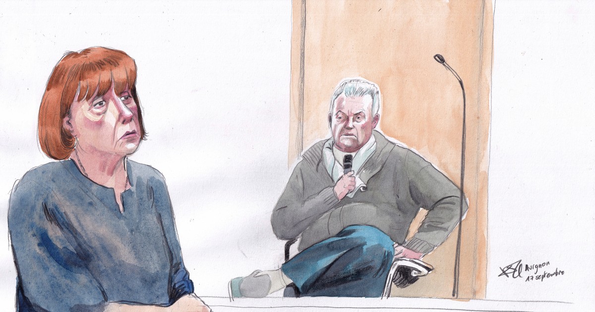 Dominik Peliko svedočio: Otkrio zašto je godinama zlostavljao ženu i ...