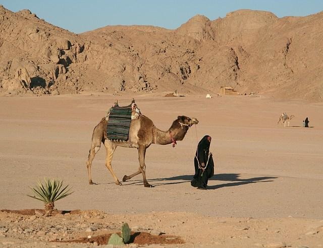 Egipt - Pustynia Arabska - Podróże