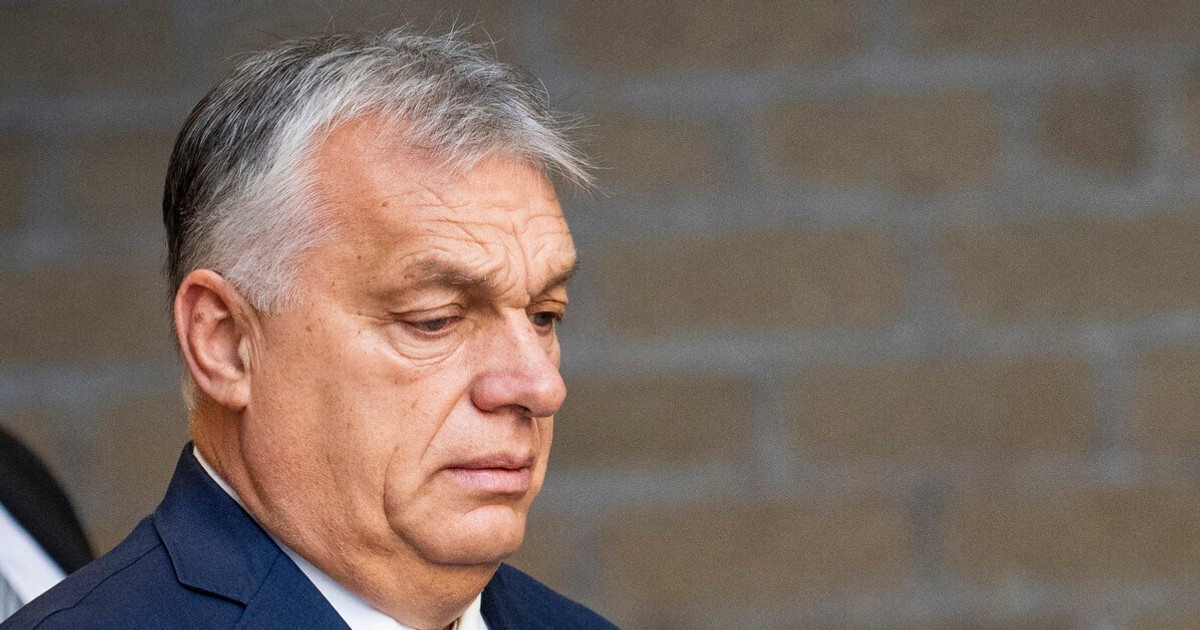 Orbán Viktor bejelentése: ezek a szolgáltatók 2026. július 1-ig nem ...