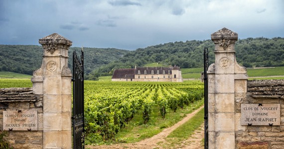 Burgundia: mozaika parceli winiarskich we Francji. Ciekawostki ...