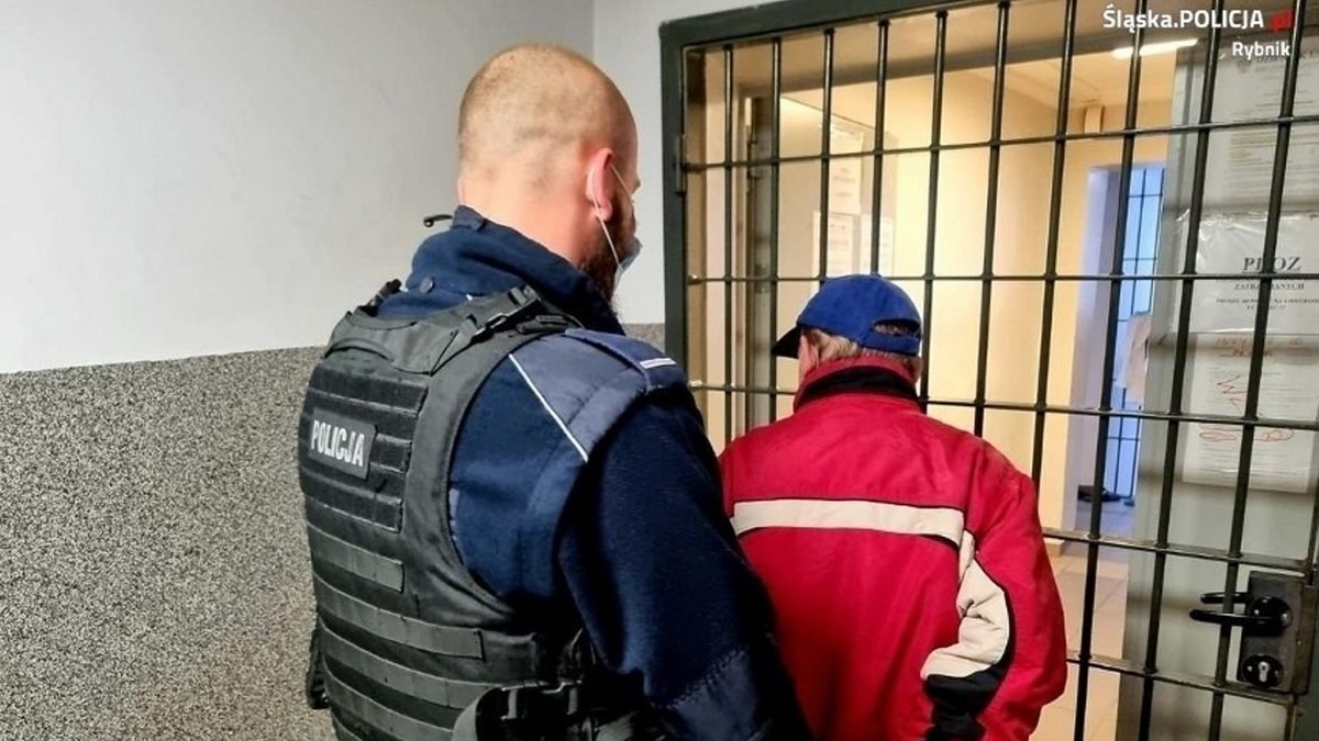 Zgotował kotu piekło. Zwyrodnialec z Rybnika skazany - PORZĄDEK Zgotował kotu piekło. Zwyrodnialec z Rybnika skazany - PORZĄDEK