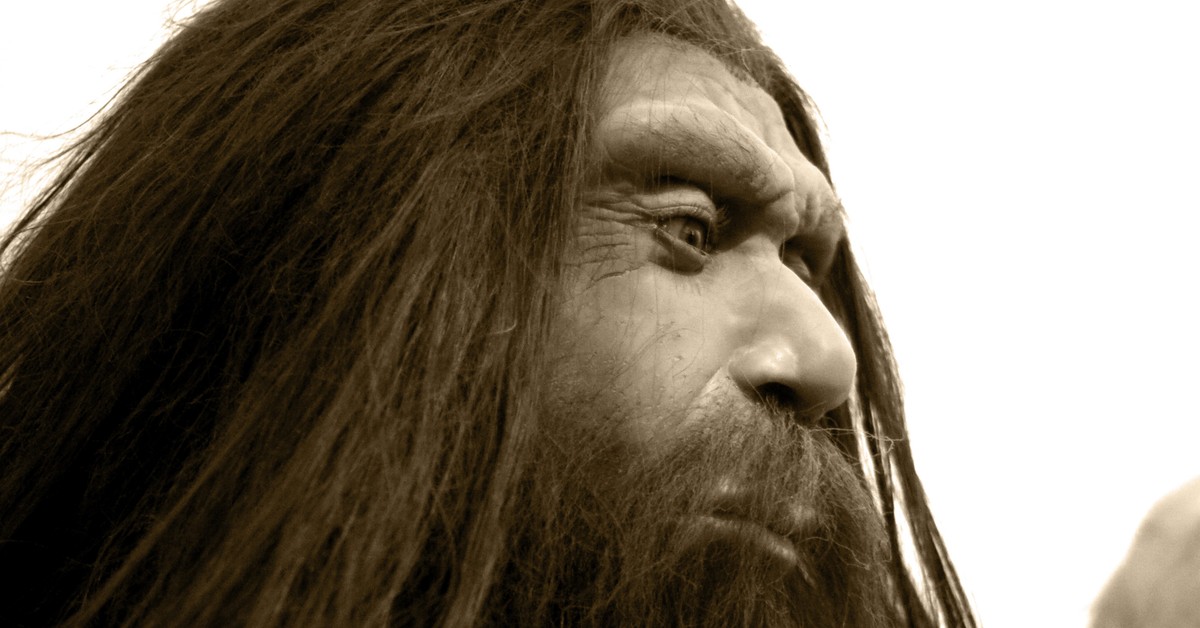 Już neandertalczyk wiedział, co zdrowe - Dziennik.pl
