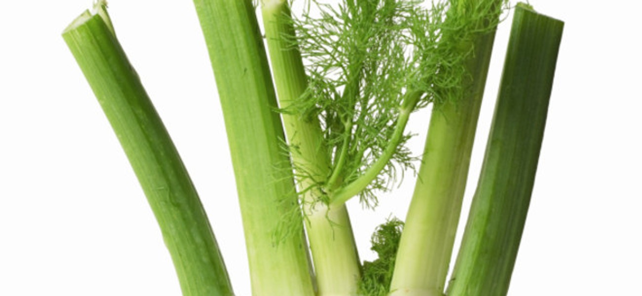 Koper włoski – właściwości prozdrowotne i zastosowania