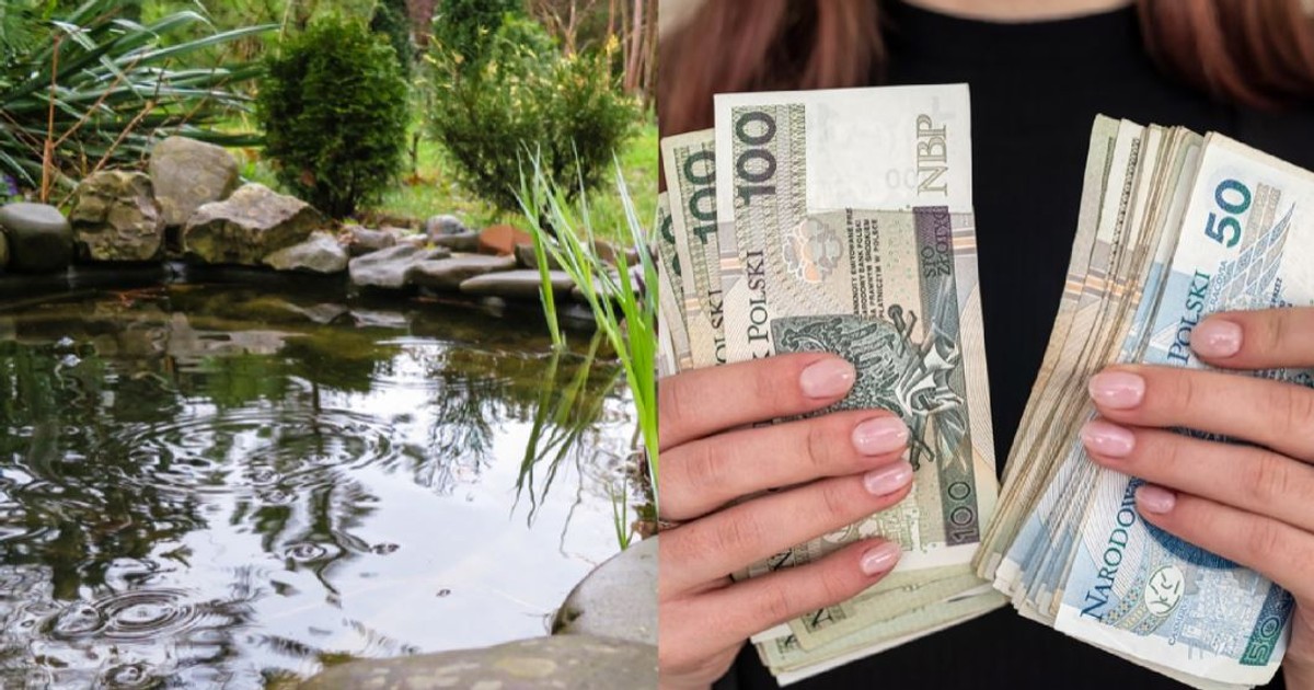 "Oczko wodne plus". Polskie miasto daje 5 tys. zł