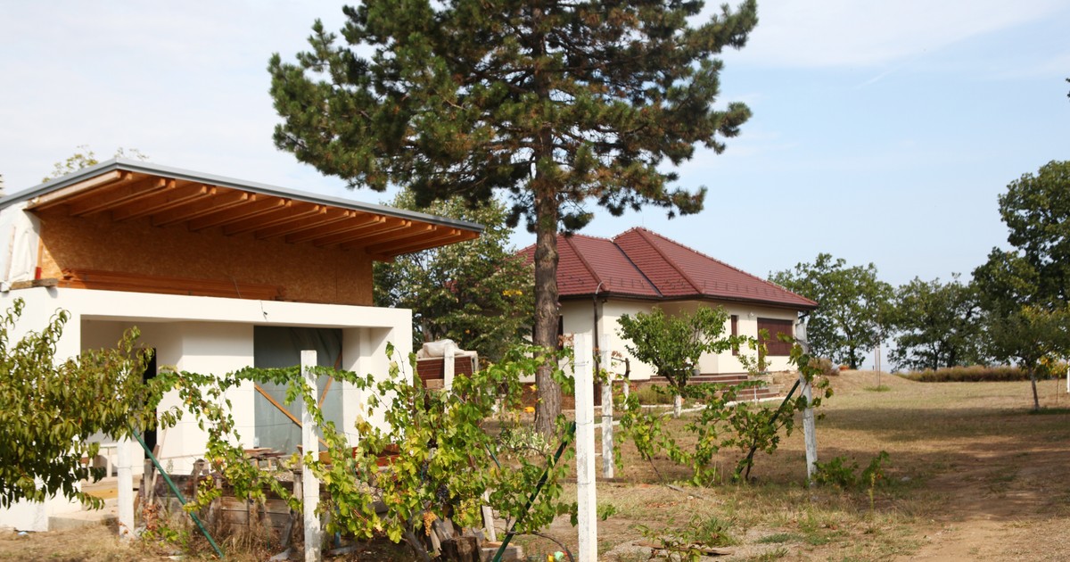 Najpoznatiji glumački par ima vikendicu okruženu zelenilom - Blic