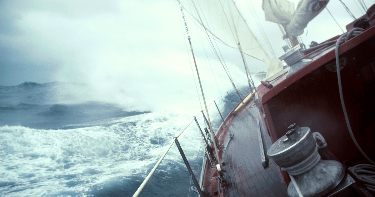 A stranded Australian sailor and his dog survived 2 months adrift in ...