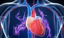 Nietypowe objawy chorób serca: znak Franka na uchu, palce dobosza. Nie ...