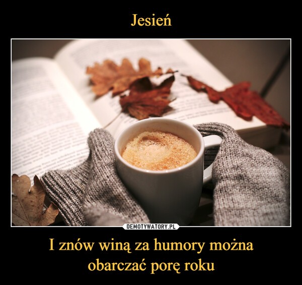 Najśmieszniejsze memy na pierwszy dzień jesieni. Te obrazki są takie ...