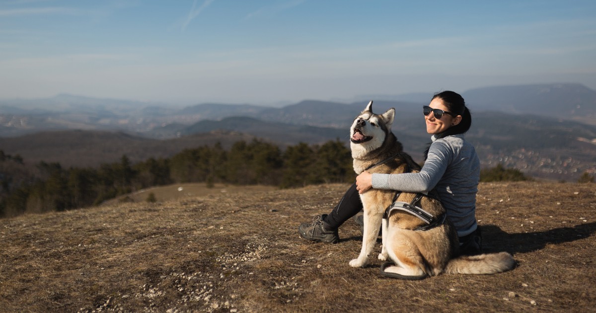 Dogs were played the sound of humans crying. Their reaction shows a ...