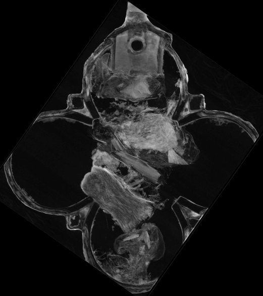 Neutrony pozwoliły zajrzeć do średniowiecznego wisiorka, którego ...
