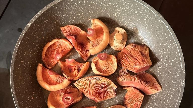 Rydze w roli głównej. Kilka sprawdzonych i nietypowych przepisów. Pycha ...