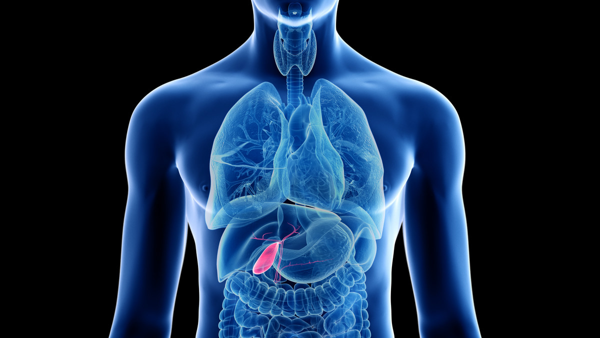 Pęcherzyk (woreczek) żółciowy: charakterystyka i choroby woreczka - Zdrowie