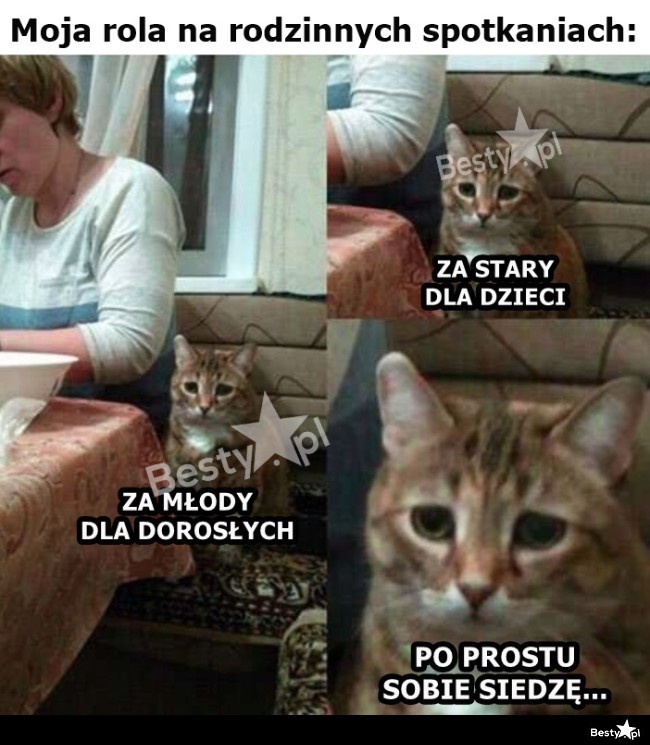Najlepsze memy o rodzinnych spotkaniach. Rozbawią cię do łez - Kobieta